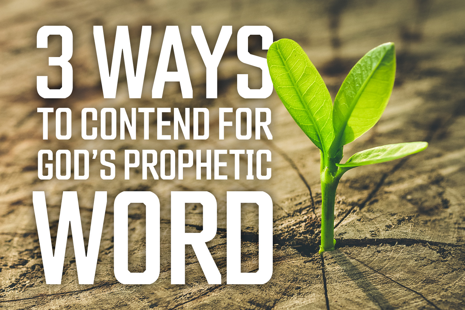 3 Ways To Contend for God's Prophetic Word | Kenneth Copeland Ministries