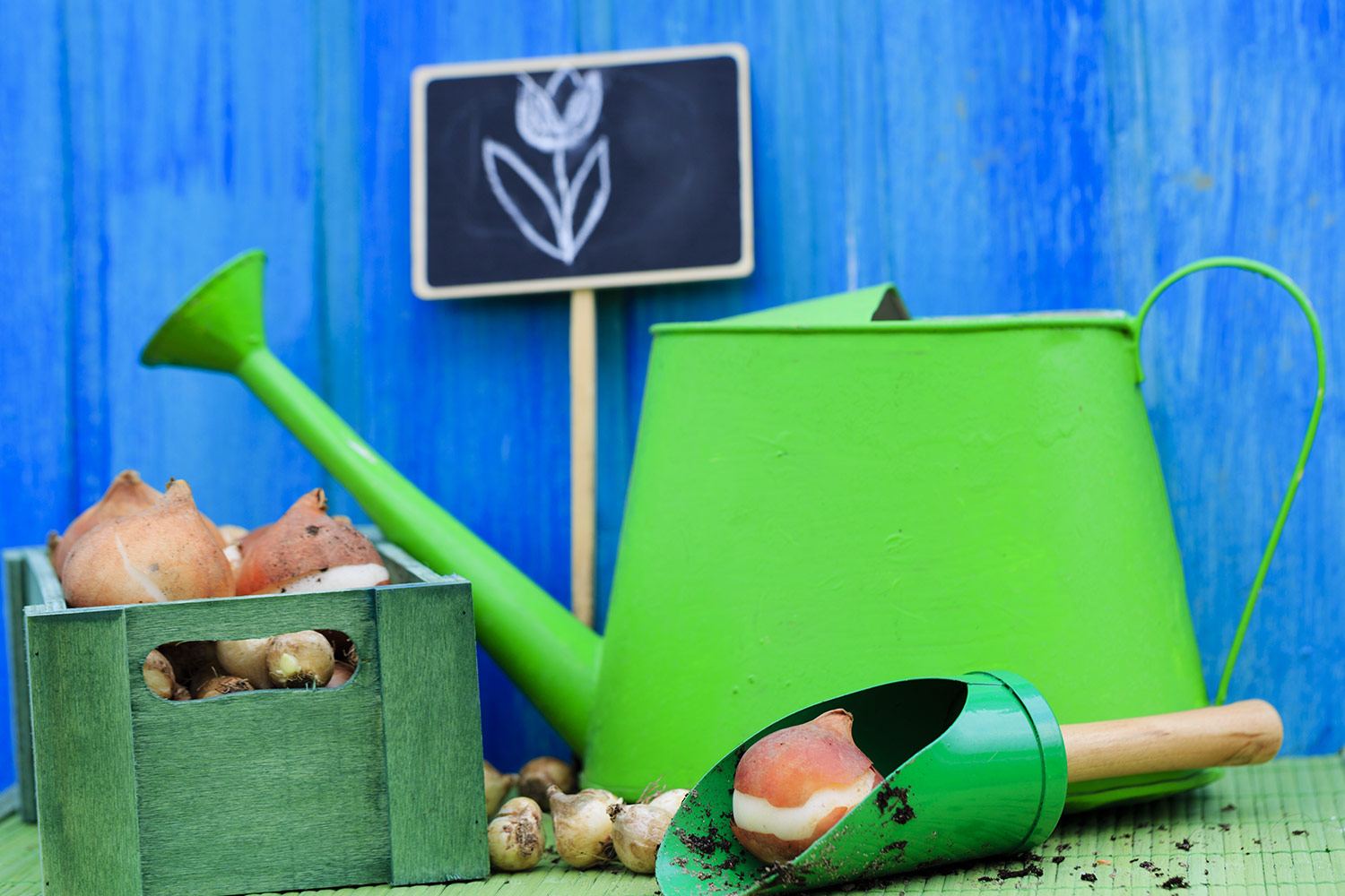 Start Planting | Kenneth Copeland Ministries